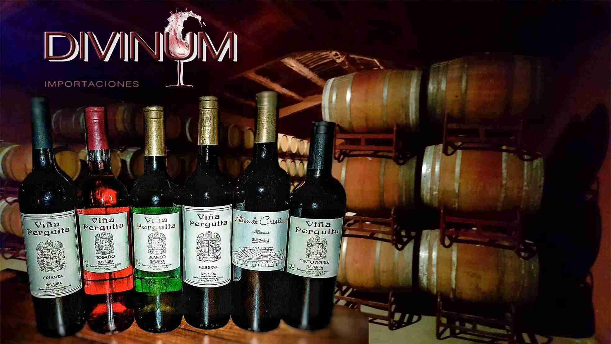 LA IMPORTANCIA DE BEBER UNA COPA DE VINO AL DIA