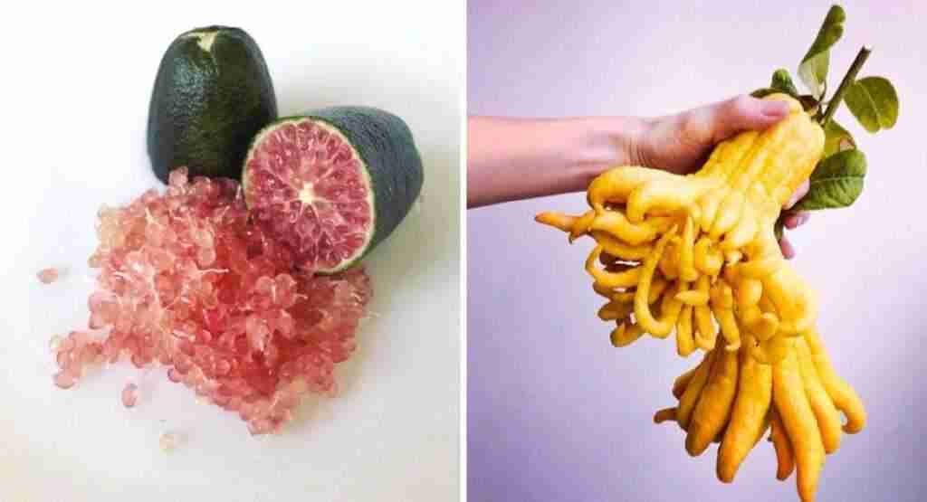 10 frutas tan raras y exóticas que probablemente nunca escuchaste ...