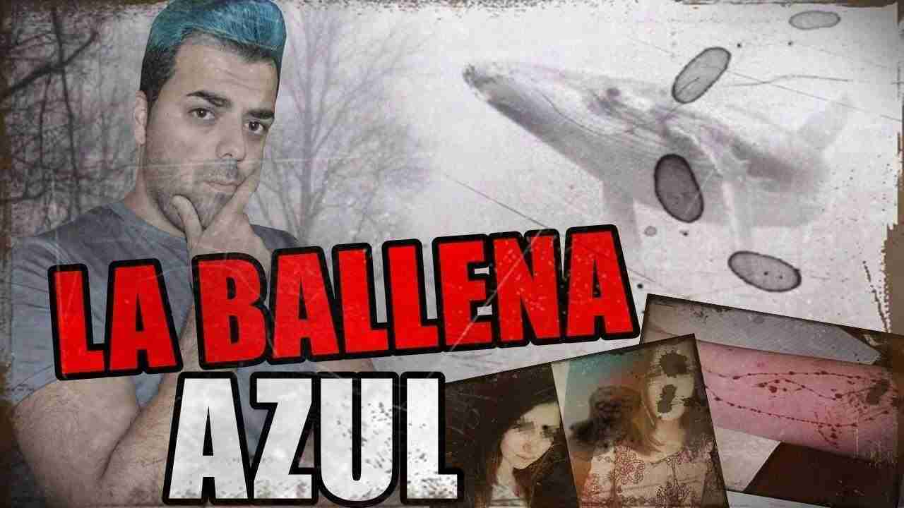 Los 50 retos de la Ballena Azul ¡No lo hagas! Los 50 retos de la Ballena Azul ¡No lo hagas!