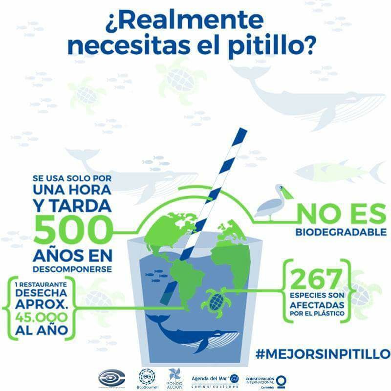 Di no al popote (pitillo)