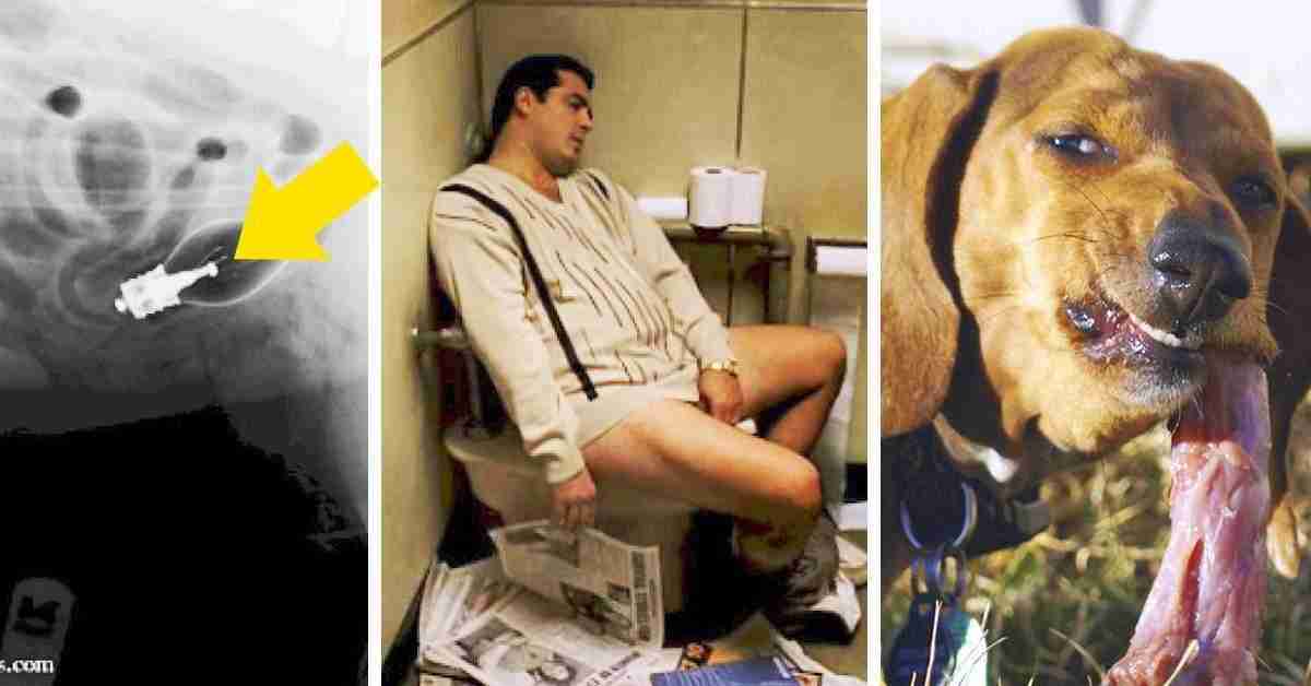 Las muertes más ridículas de la historia de la humanidad