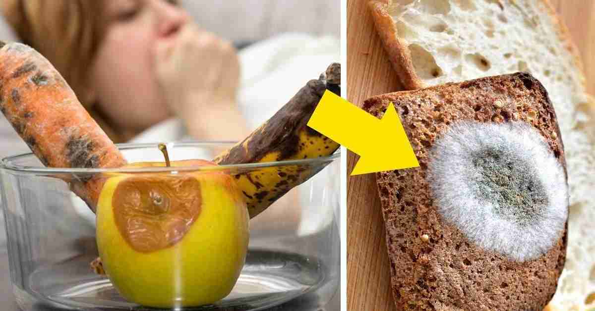 Los alimentos con moho que aún puedes seguir consumiendo