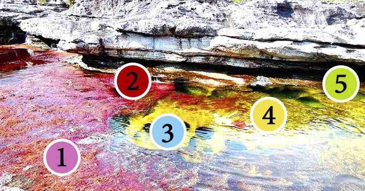 10 de las Cosas más extrañas que ocurren en lugares del mundo que los ...