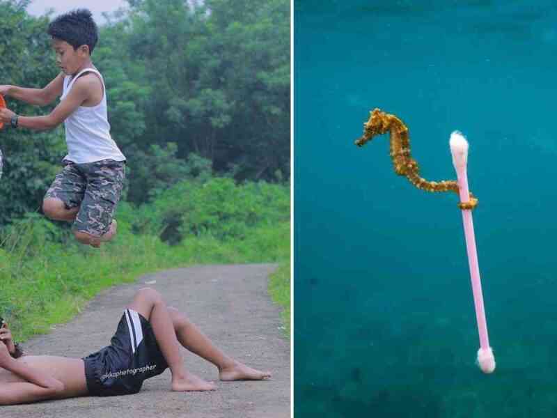 16 fotógrafos que lo dieron todo por la imagen perfecta