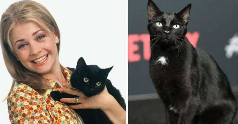 Advertencia: Salem no habla en la nueva “Sabrina” de Netflix. Perdimos ...