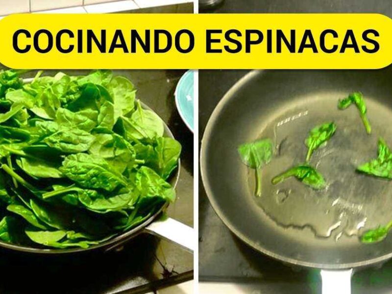 Humor: 19 Memes de comida que pueden hacer que te duela la panza de ...