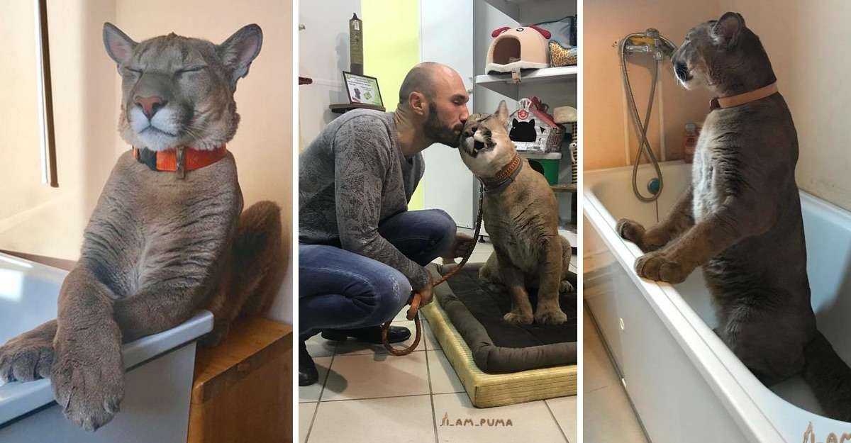 Messi nació tan enfermo que no podía vivir en libertad. Ahora es un ...