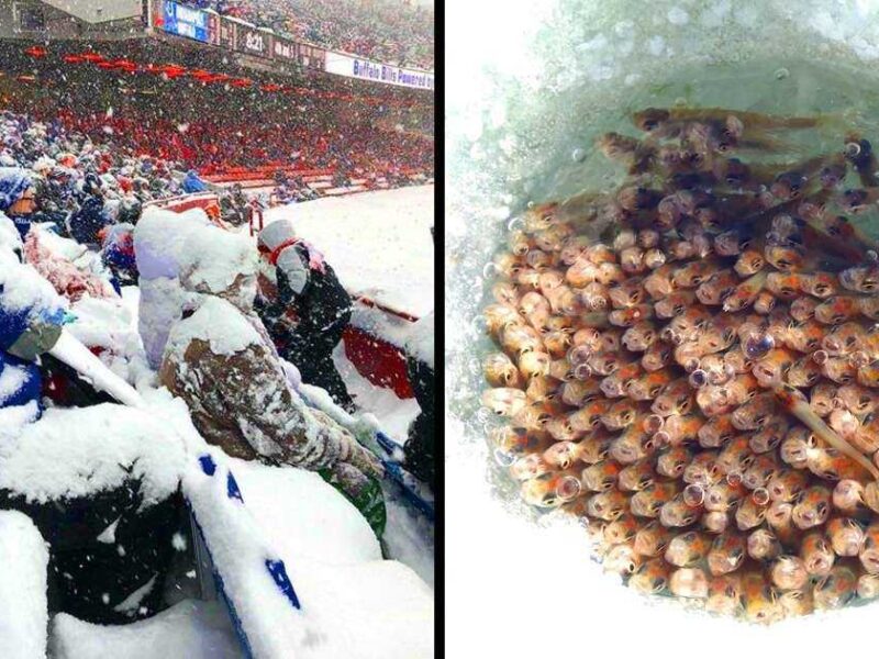 24 fotos que muestran lo impresionante que puede ser la época de invierno