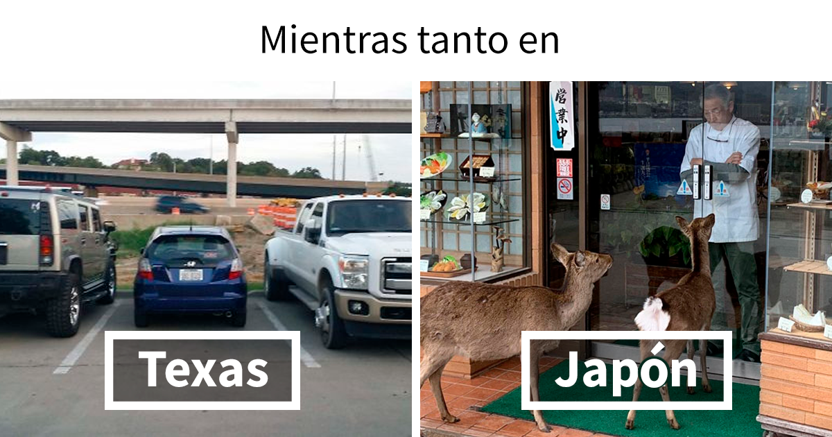 La gente comparte memes de “Mientras tanto en” que resumen distintos ...
