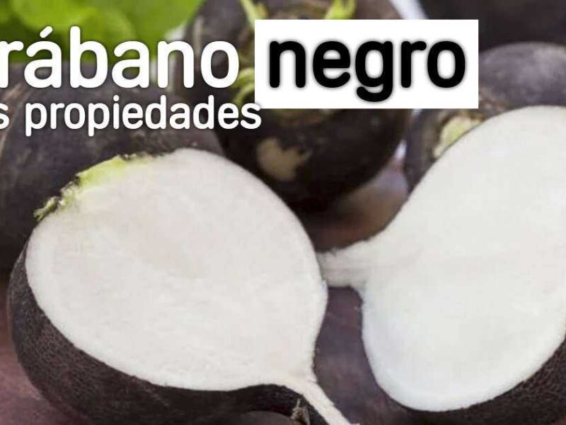 El rábano negro, el nuevo alimento contra el colesterol según la ciencia