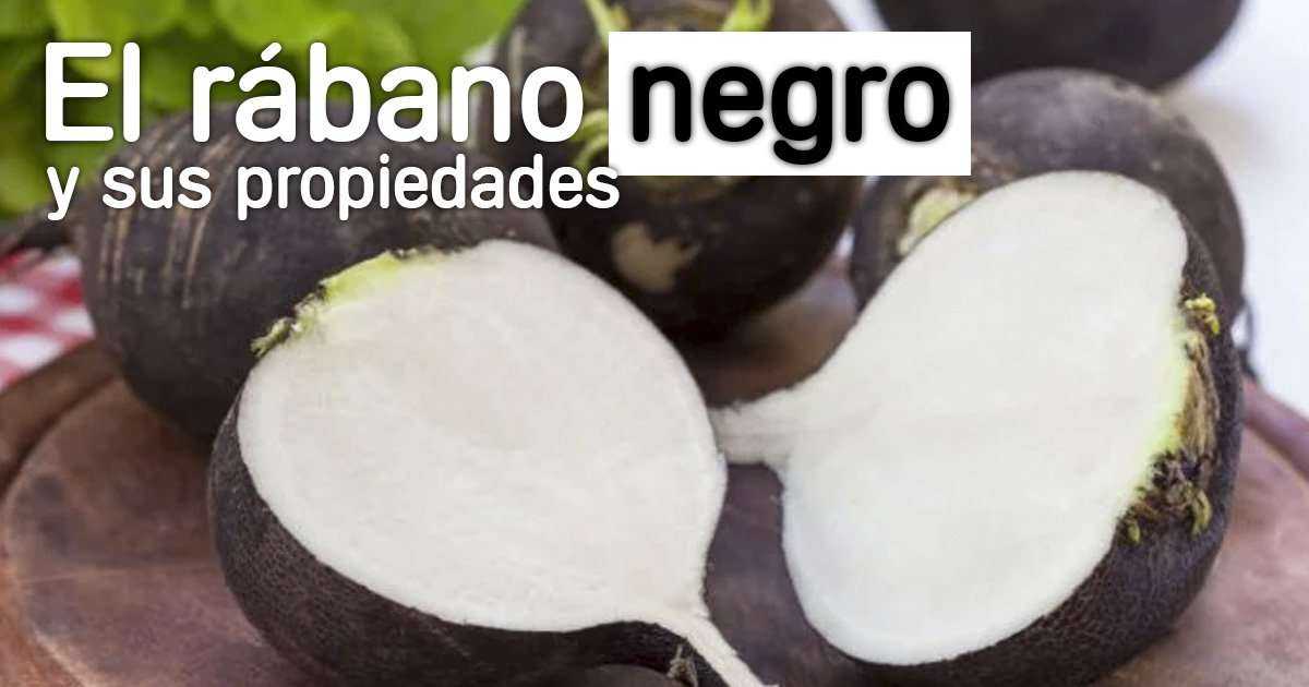 El rábano negro, el nuevo alimento contra el colesterol según la ciencia