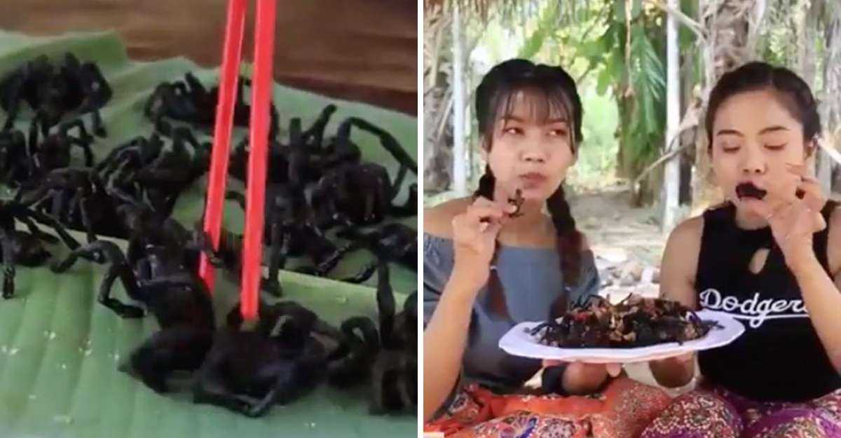 Video muestra a dos chicas preparando unas «ricas» arañas fritas ...