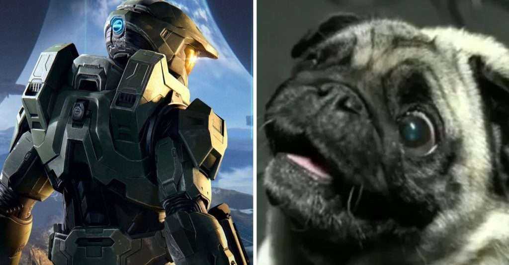 Un pug es la nueva estrella de la actuación con la voz. Sus gruñidos ...