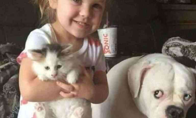 Imágenes de personas que no pueden evitar mostrar su envidia