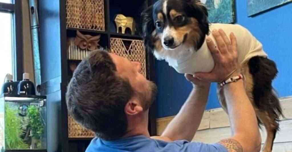 Perro que nació sin patas frontales le enseña a estudiantes sobre la ...