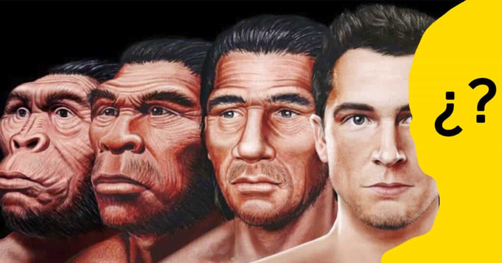 Sale a la luz el rostro del ser humano y cómo sería en el futuro